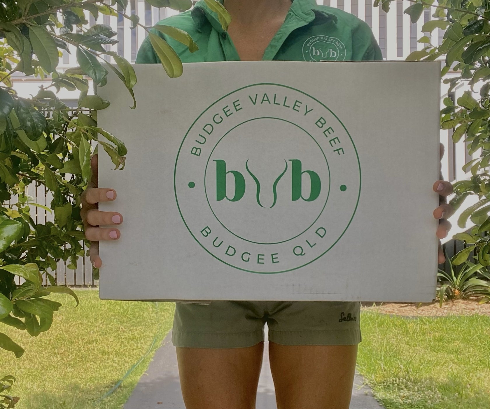 15kg Family Favourites Box - Grass Fed Beef – Budgee Valley Beef